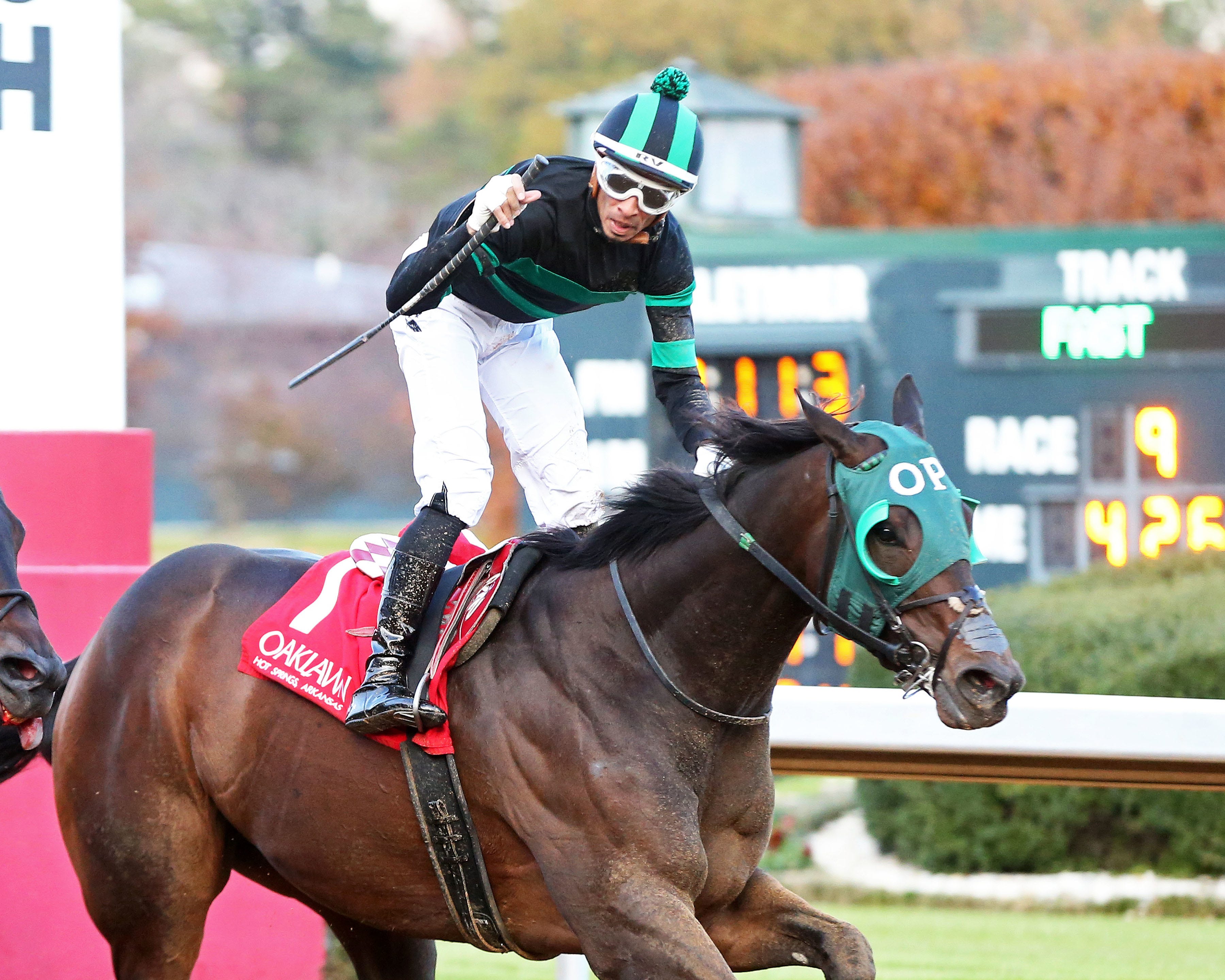 Happy Is a Choice has options; Middle East start possible